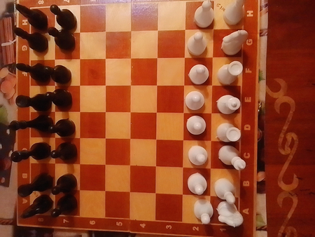 Сиз излаган шахмат доскаси 50×50