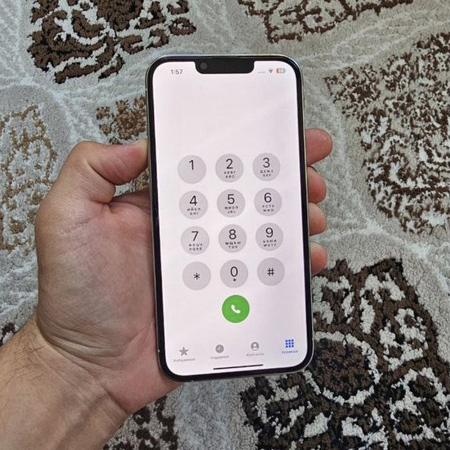 iPhone 13 Pro LL/A