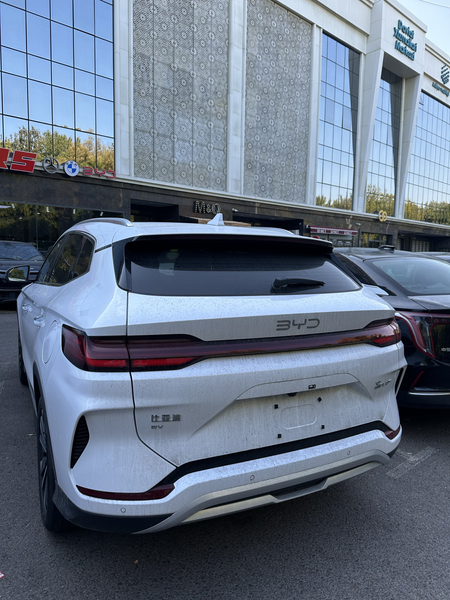 Byd Chempion 2025 rest