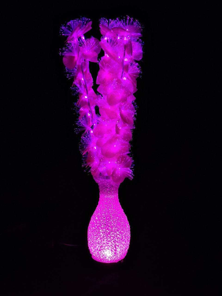 Декоративные цветы. Svtilnik gullar.Dekoratif gullar.