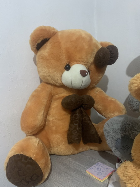 Teddy orginali 80.000