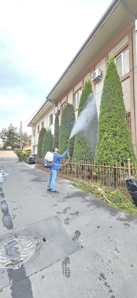Archalarga forma berish  dorilash gazon dorilash va o\\\'rish xizmatlari