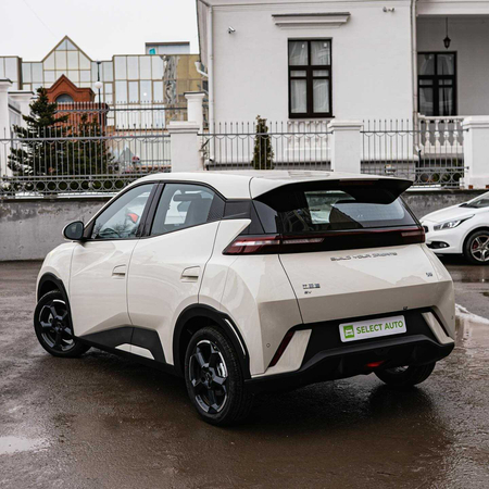 2023 Spark o'rniga 2024 Byd Seagull