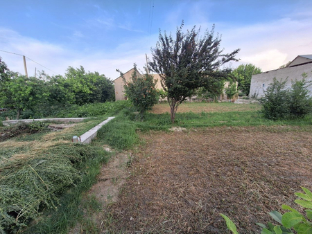 Xovli hujjatlari bor