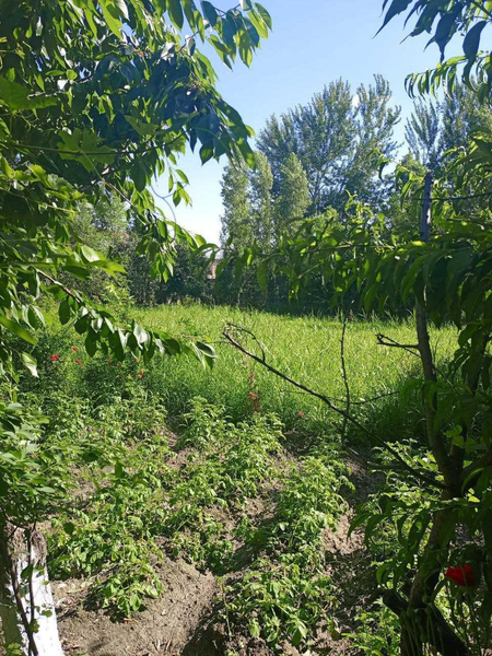 № 1828 Участок угловая площадью 9 соток по адресу: Бузи