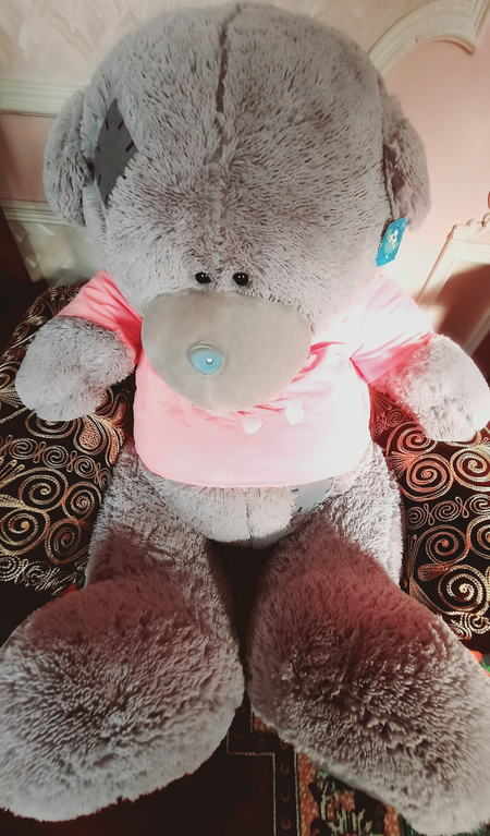 Katta chiroyli Teddy ayiq (yangi)