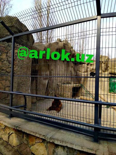 Еврозабор Евросетка  3Dпанел Evrozabor Evrosetka Yevrozabor Yevrosetka