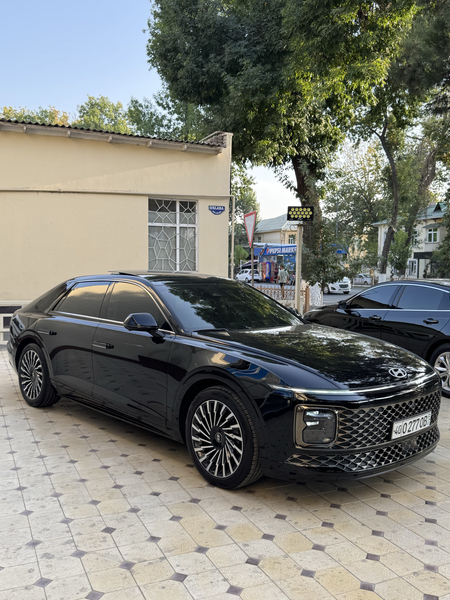Hyundai Grandeur Calligraphy