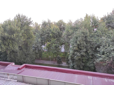 Продается 2/4/9 на ул.Сайрам , ориентир 71 школа ( Общий коридор )