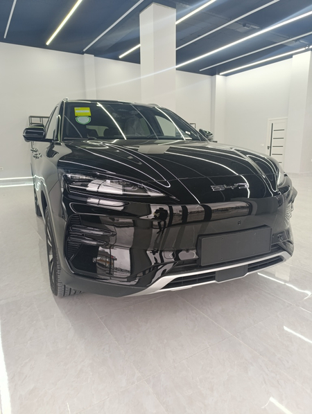 Byd song plus champion edition