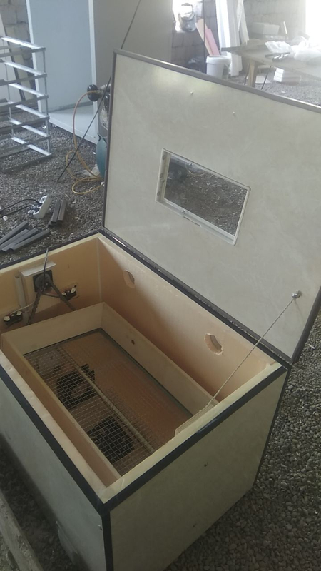 Инкубатор 120 та товук тухуми сигади.