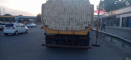 Pishgan ģisht bor
