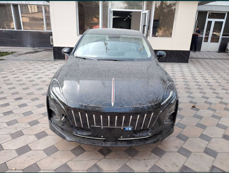 Hongqi E-QM5 450km