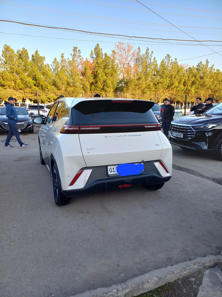 Продаётся Seagull 2023