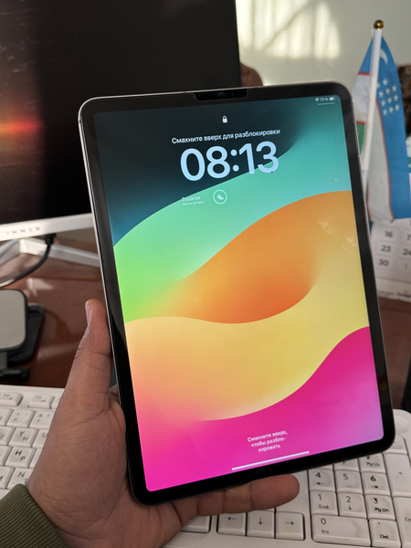 Ipad pro 11 m2 256g sim