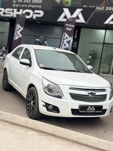 COBALT OQ 2023 yılı