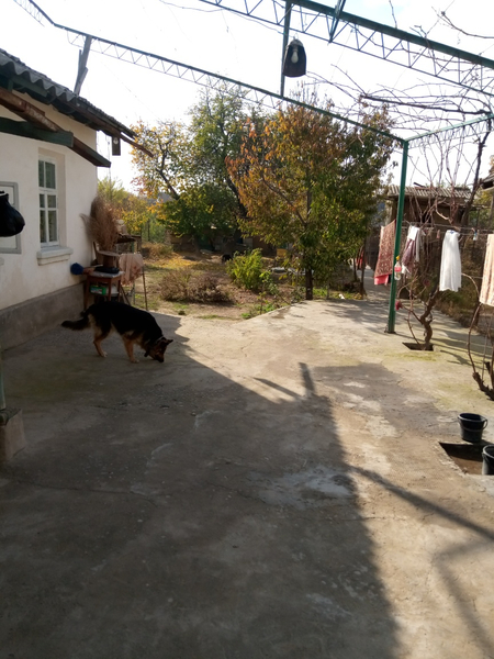 Продается дом в городе Янгиюль.