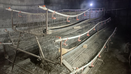 Tovuq setkalari sotiladi 5 komp, 2 kompl ,b/u ,3 komp birmarta ishlati