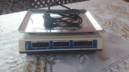 Electronic tarozi