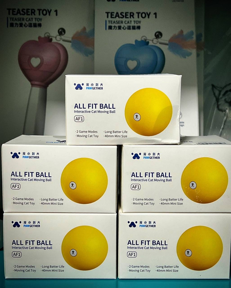 Интерактивная игрушка ALL FIT BALL