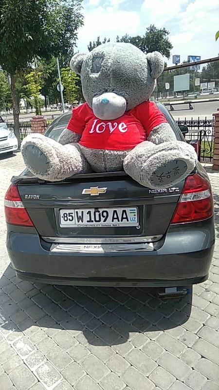 Teddi teddy teddiy
