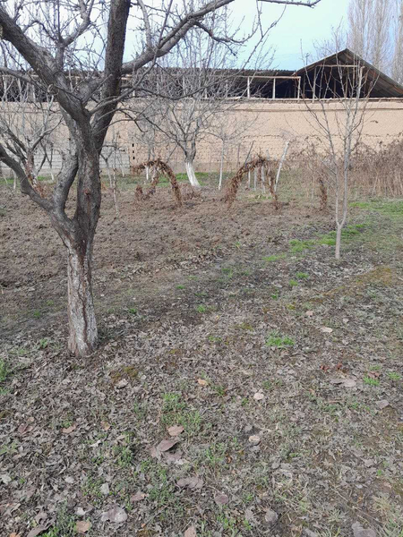Yer sotiladi 6 sotix