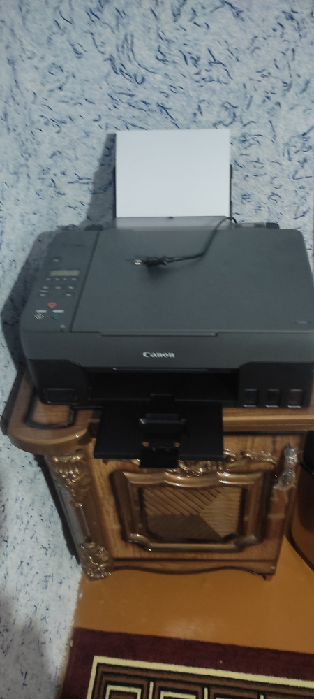 Rangli prentir g3420 uchtasi birda