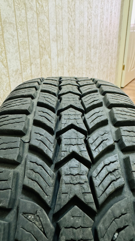 Продаются шины Debica Frigo 195/65R15