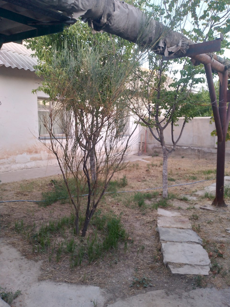 Hovli barcha jihozlari bilan birga sotiladi