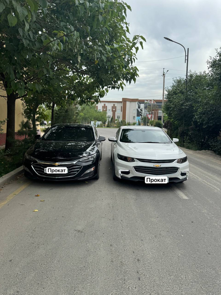 Rent car. Avto prokat
