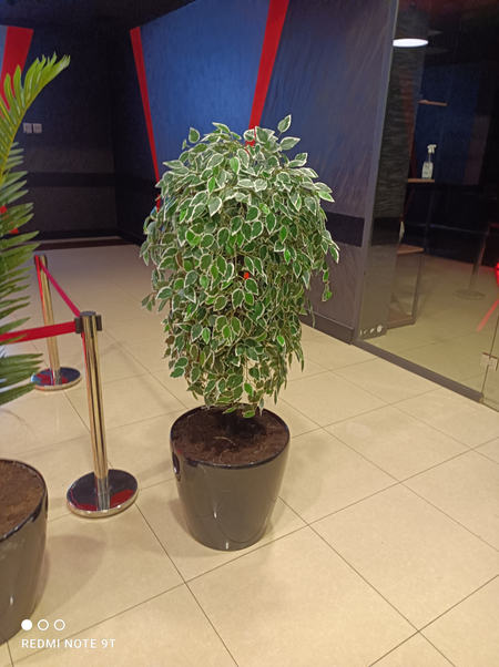 Цветы искусственные для вам