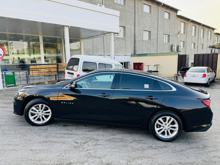 Malibu 2 2018 Top Tozza!