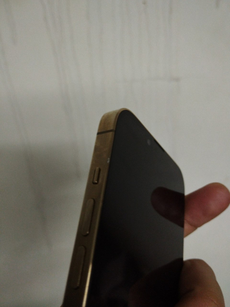 iPhone 13 Pro 256Gb Gold LL/A