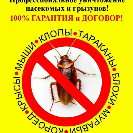 Дезинфекция от насекомых и грызунов