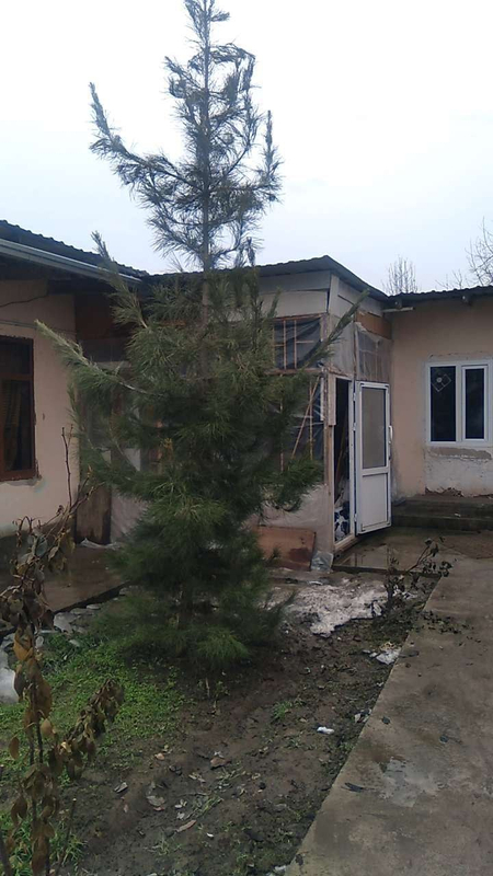 Сдается 2 км. Участок недалеко от нового рынка, фудсити, Уртачи