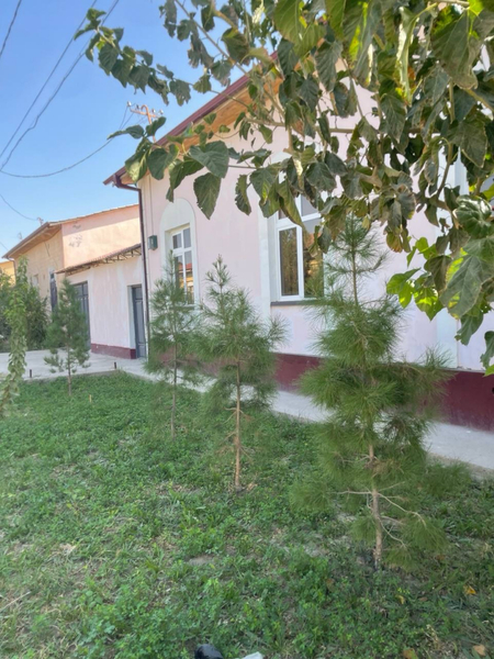 Uy qiziltepa bassey banya bilan