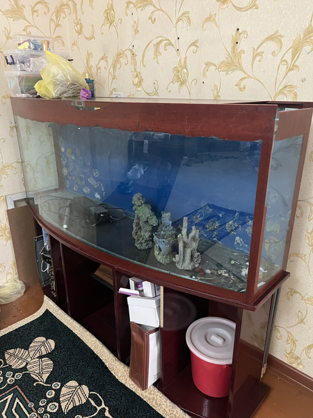 Срочно продается аквариум