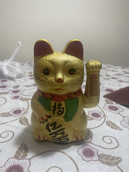 китайская кошка к деньгам