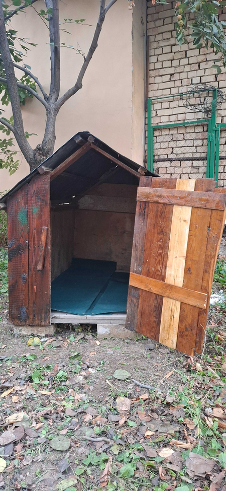 Будка для собак капитальная