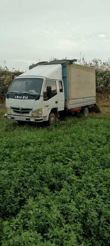 Isuzu kichik yuk mashinasi, tentovka