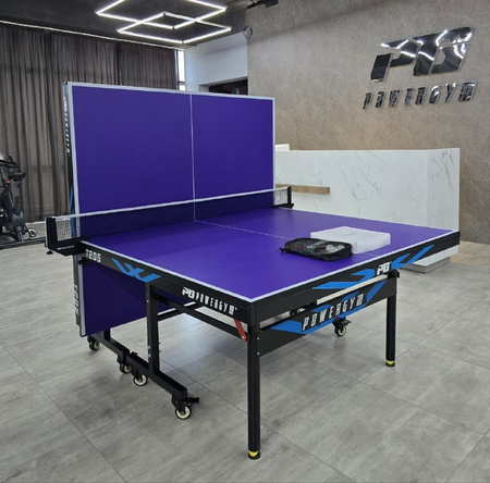 Теннисный стол привозной PG-T202 T203 T204