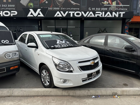 COBALT OQ 2024 yılı