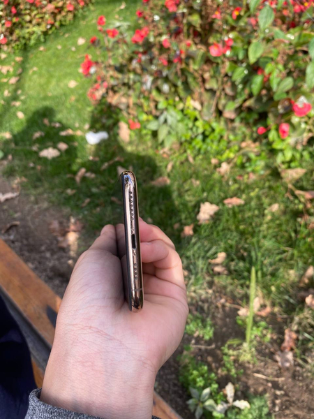 Xs max gold 256 talik uslenni hamma joyi ishlidi