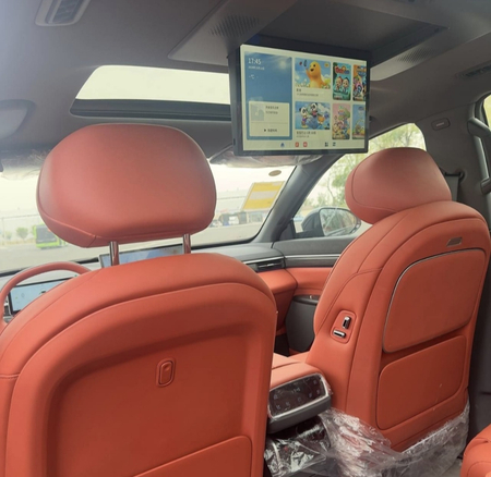 Dongfeng 008 EP 200 max * Hybrid *