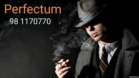 Perfectum Perfektum Zolotoy nomer