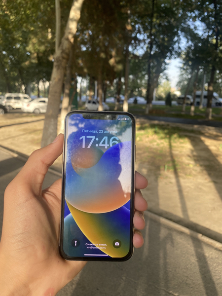 iPhone X karabkasi bor