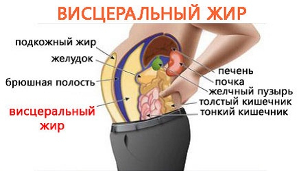 Весы анализатор Tanita BC 730 Herbalife fitness Гербалайф здоровый