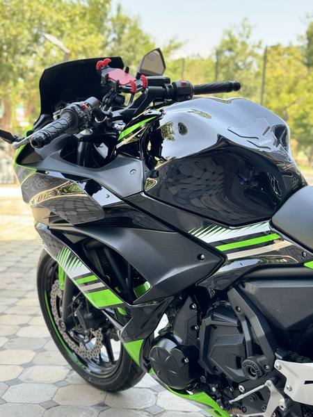 Kawasaki Ninja 650 Kub