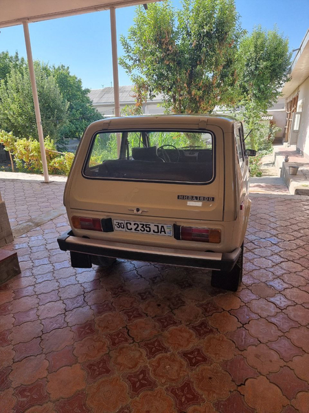 Niva holati idyal