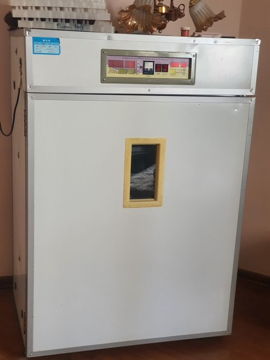 1050 talik inkubator orginal